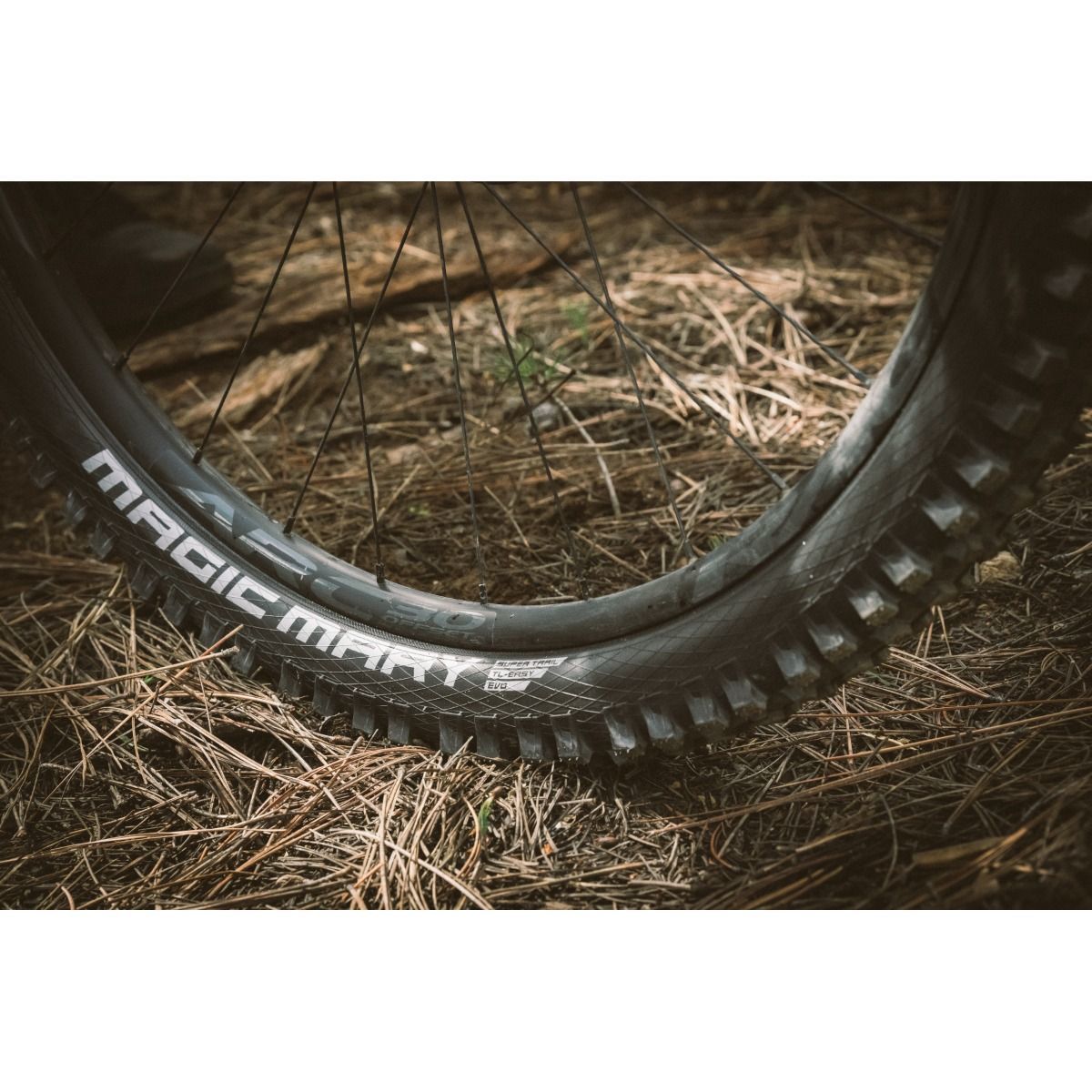 Schwalbe Magic Mary 29x2.40 Evolution Addix Soft Super Trail TLEasy ...