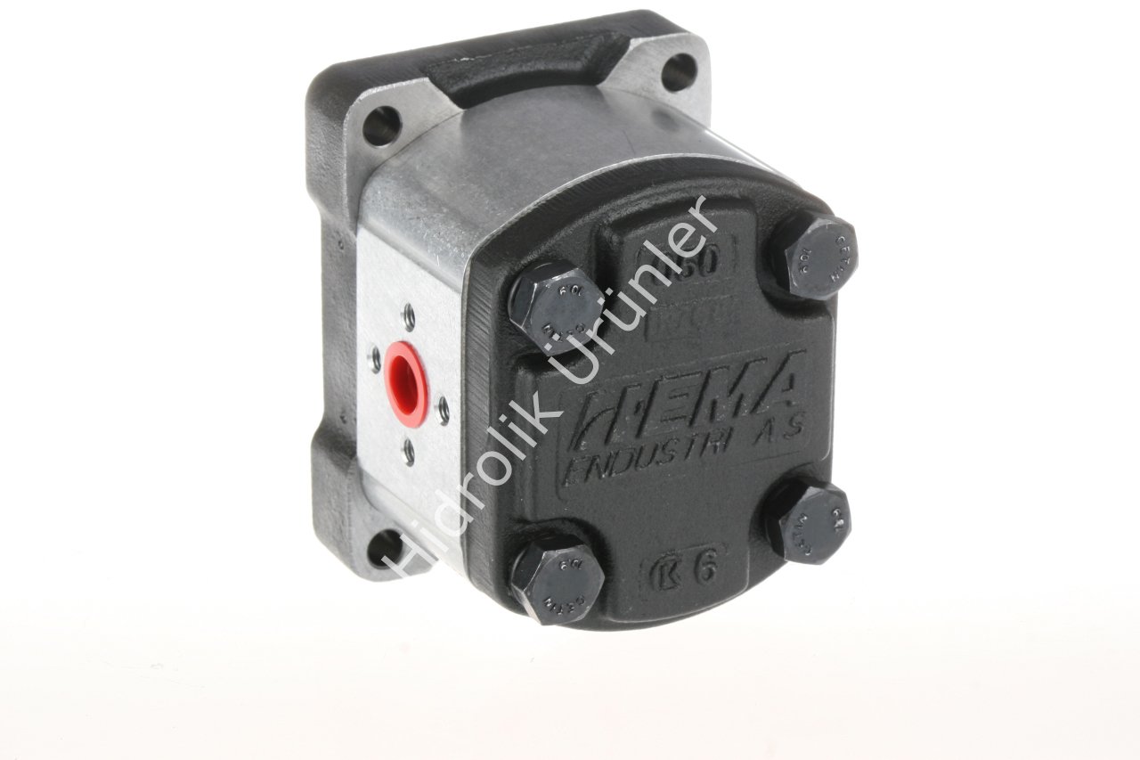 1P GRUP - 1PN 061 (AB2) 6,1 cc Dişli Pompa - Hema - 1PN 061 (AB2) 6,1 cc Dişli Pompa