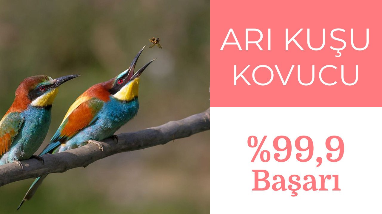 Universal Uçan Şahin Maketli Sesli Arı Kuşu Kovucu Adaptörlü ...