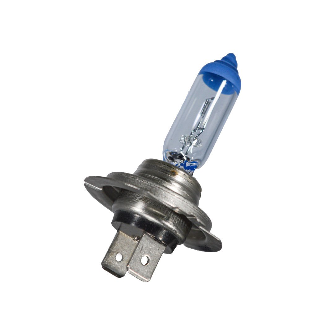 Tecpo Ampul Halojen 12V 55W Süper Beyaz Px26D | Al Nalburiye