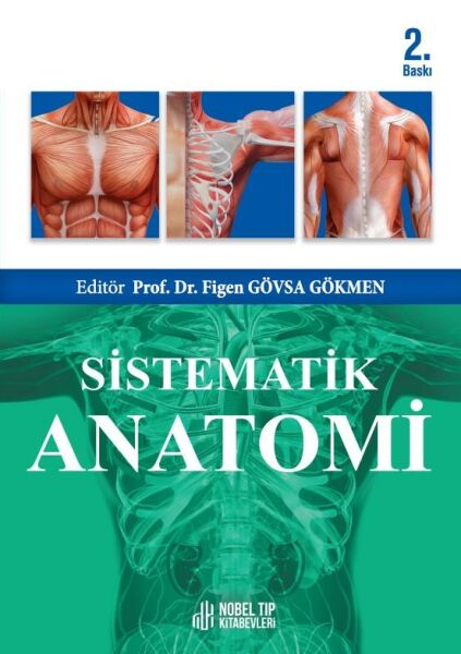 Anatomi