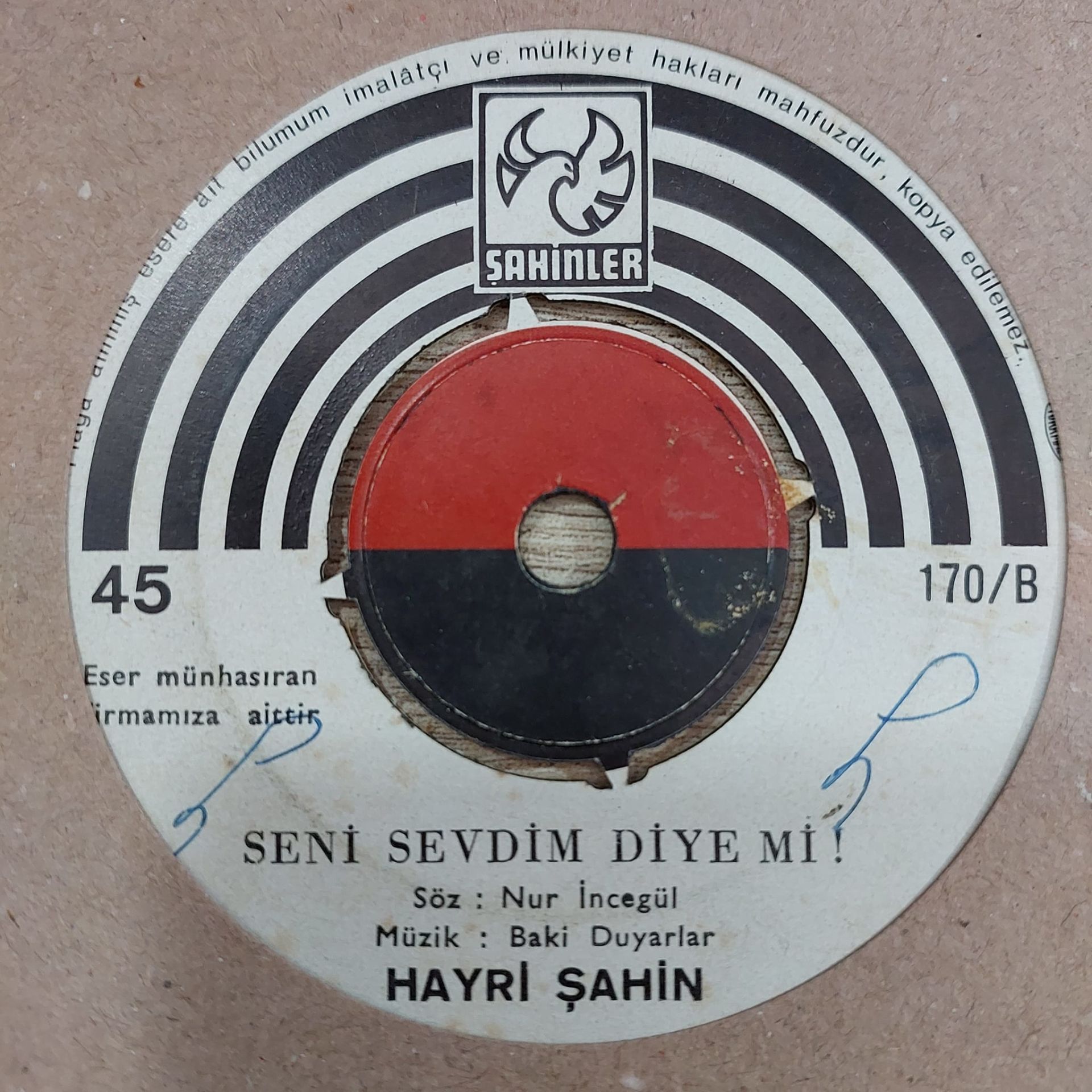 HAYRİ ŞAHİN - SENİ SEVDİM DİYE Mİ 45LİK PLAK HAYRİ ŞAHİN - SENİ SEVDİM DİYE Mİ 45LİK PLAK