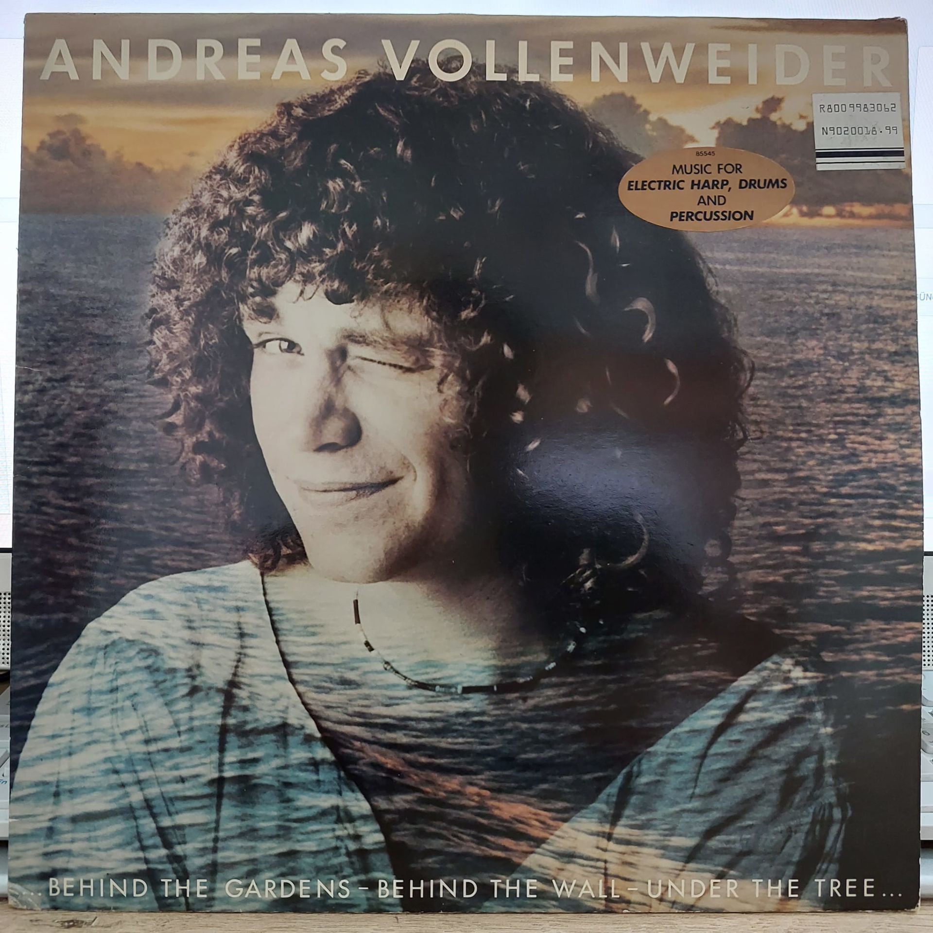 Andreas Vollenweider – ...Behind The Gardens - Behind The Wall - Under ...