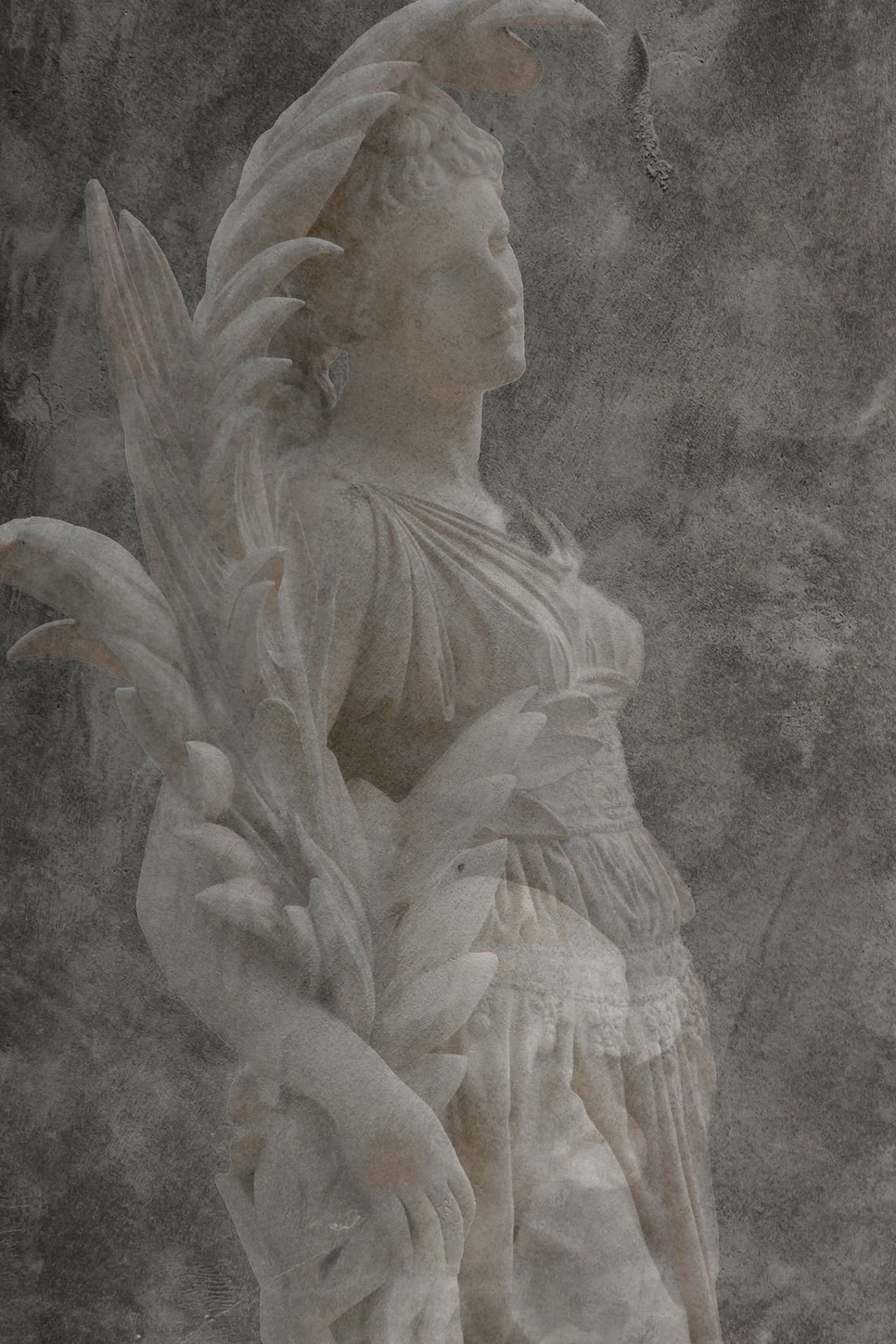 Timeless beauty