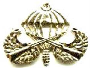 TSK Metal Bröve Çeşitleri