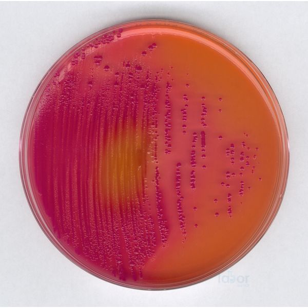 MERCK 111435 DHL agar acc. to SAKAZAKI 500 gr
