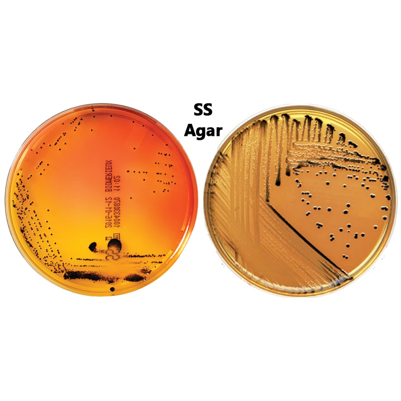 Across Bio 530130B Salmonella Shigella Agar (SS Agar) 500 gr