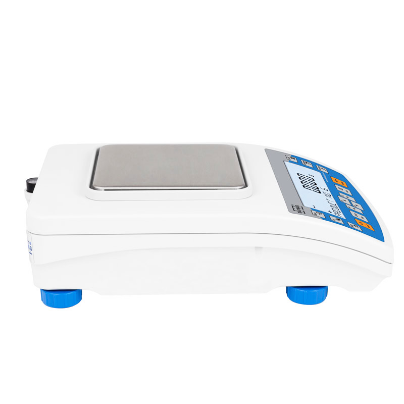 Radwag PS 600.R2 Hassas Terazi 600 gr / 1 mg