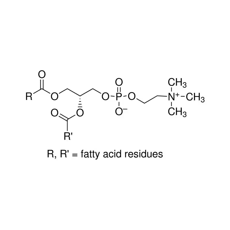 L-α-Lecithin, Soybean - CAS 8002-43-5 - Calbiochem