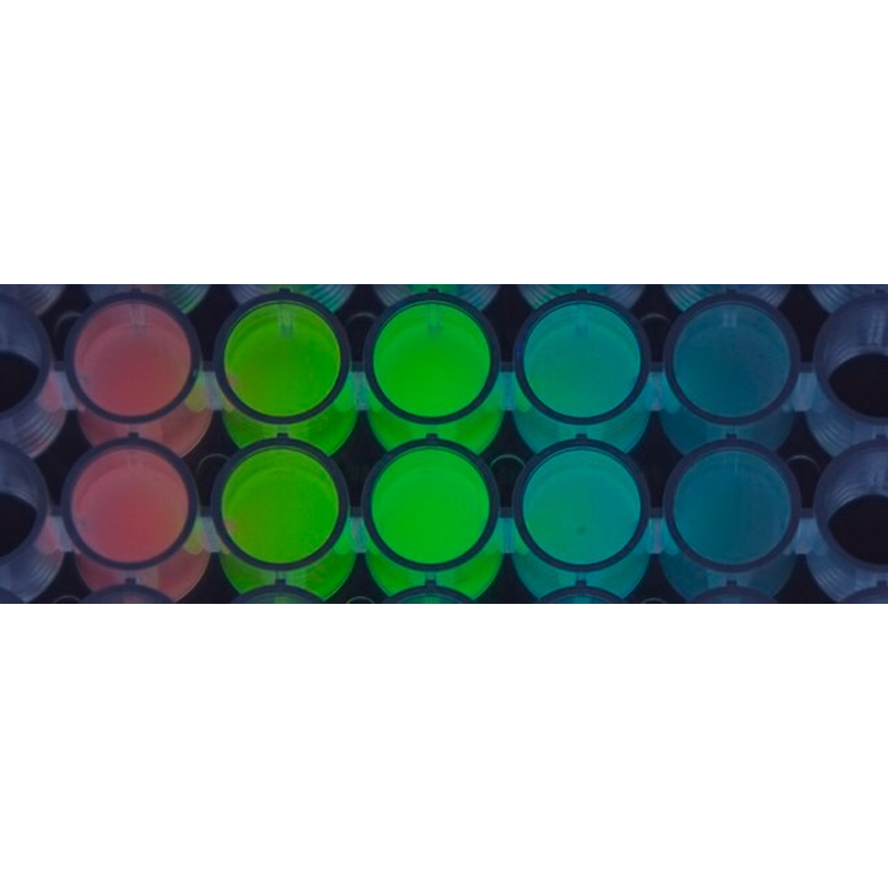 Sigma-Aldrich ALiCE® Cell Free Protein Expression Kit (Plant Cell ...