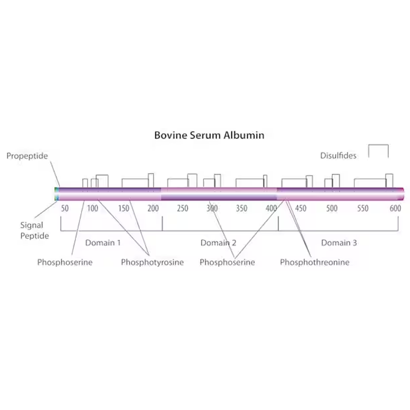 Sigma-Aldrich A9418 Bovine Serum Albumin lyophilized powder