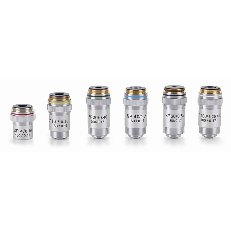 euromex BB.4263 BioBlue Binoküler Mikroskop