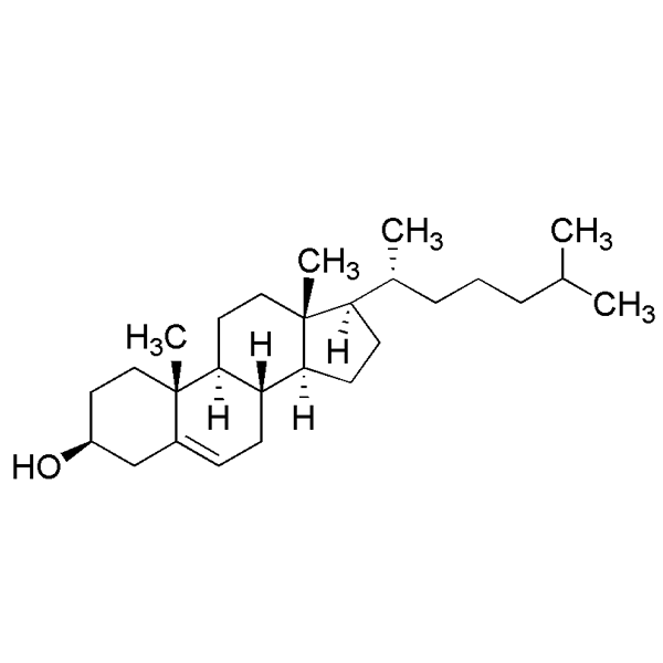 AFG Bioscience 409580 Cholesterol Extra Pure 1 kg