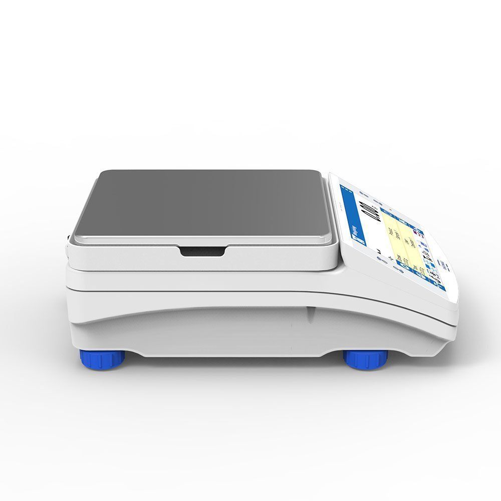 RADWAG PS 6100.X7.M Hassas Terazi6100 gr / 10 mg / 195 x 195 mm