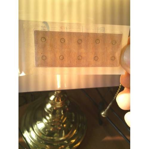 Shenlong Press Needle Kalıcı Kulak İğnesi 100 adet - kalıcı kulak iğnesi