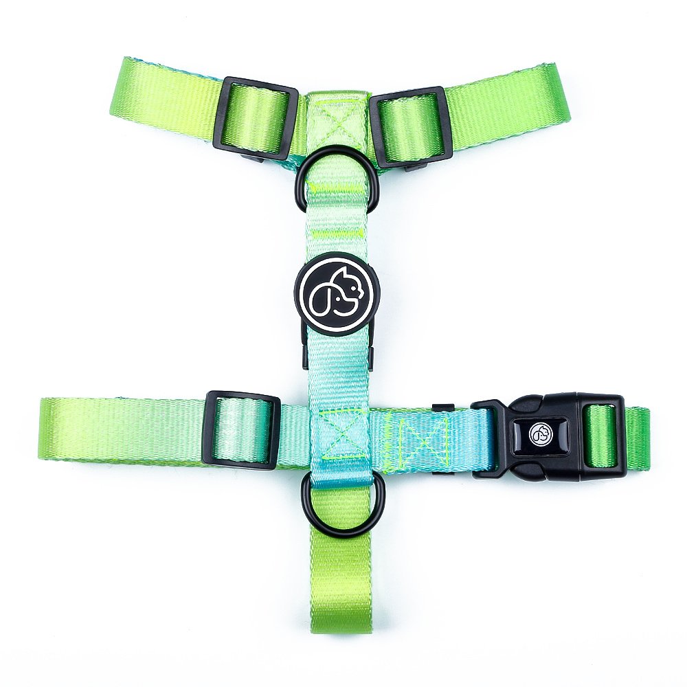 Köpek Göğüs Tasması Inke | Petza